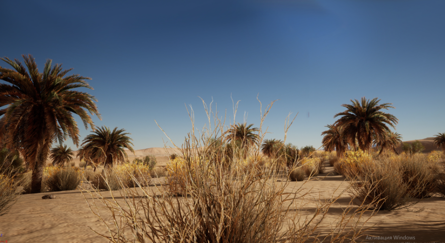 Desert Vegetation | Fab