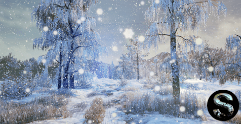 Nature Subcategory Winter