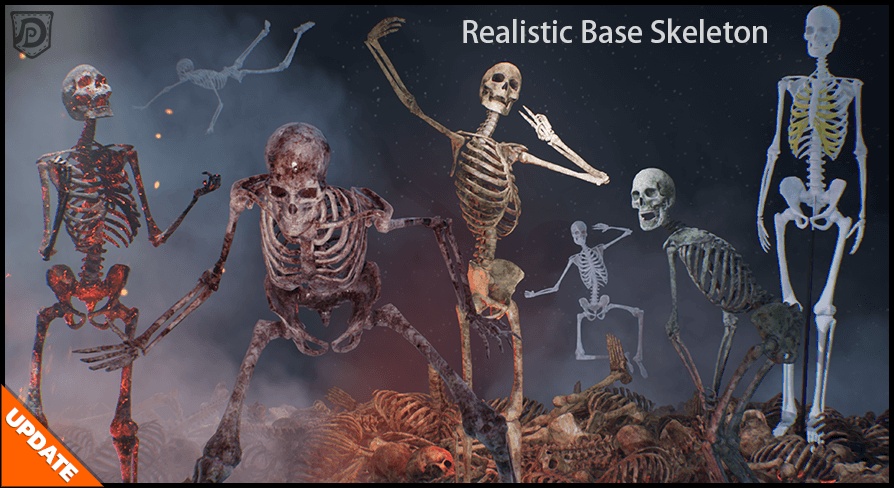 Realistic Base Skeleton