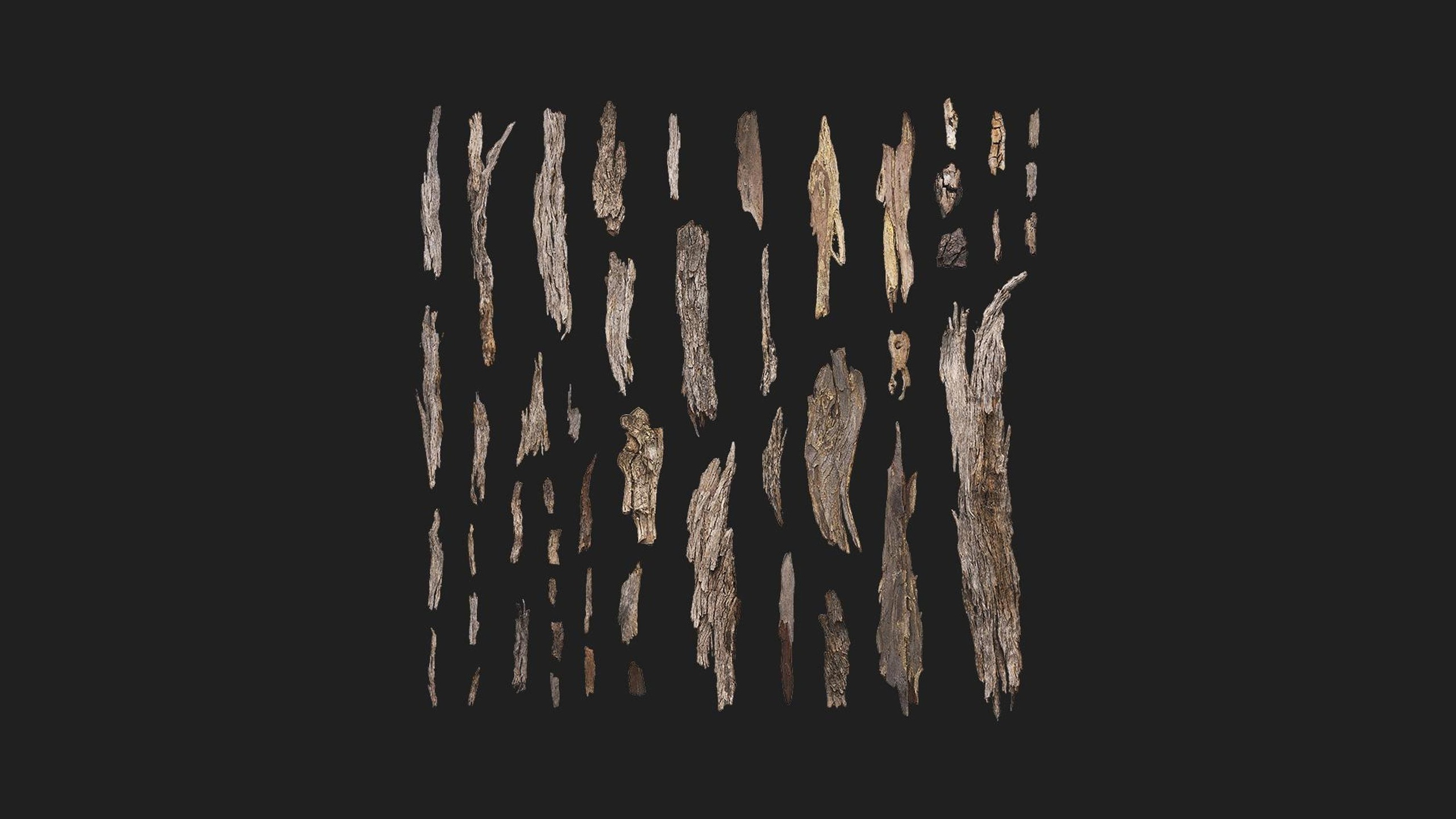 Arid Debris | Fab