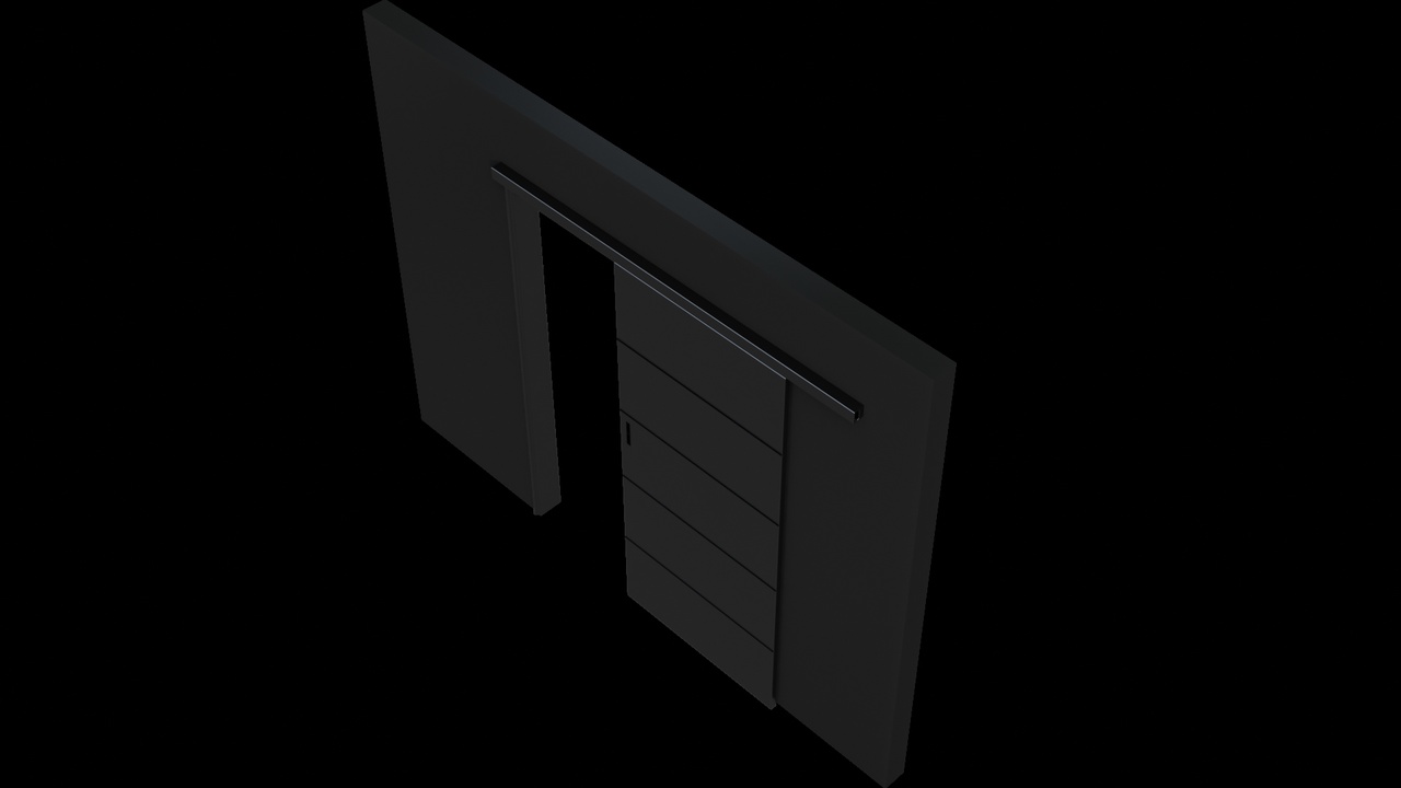Large Sliding Black Door | Fab
