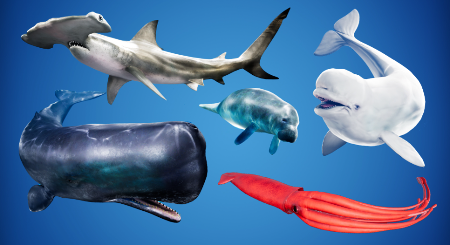 Ocean Animals Pack Vol.3 | Fab