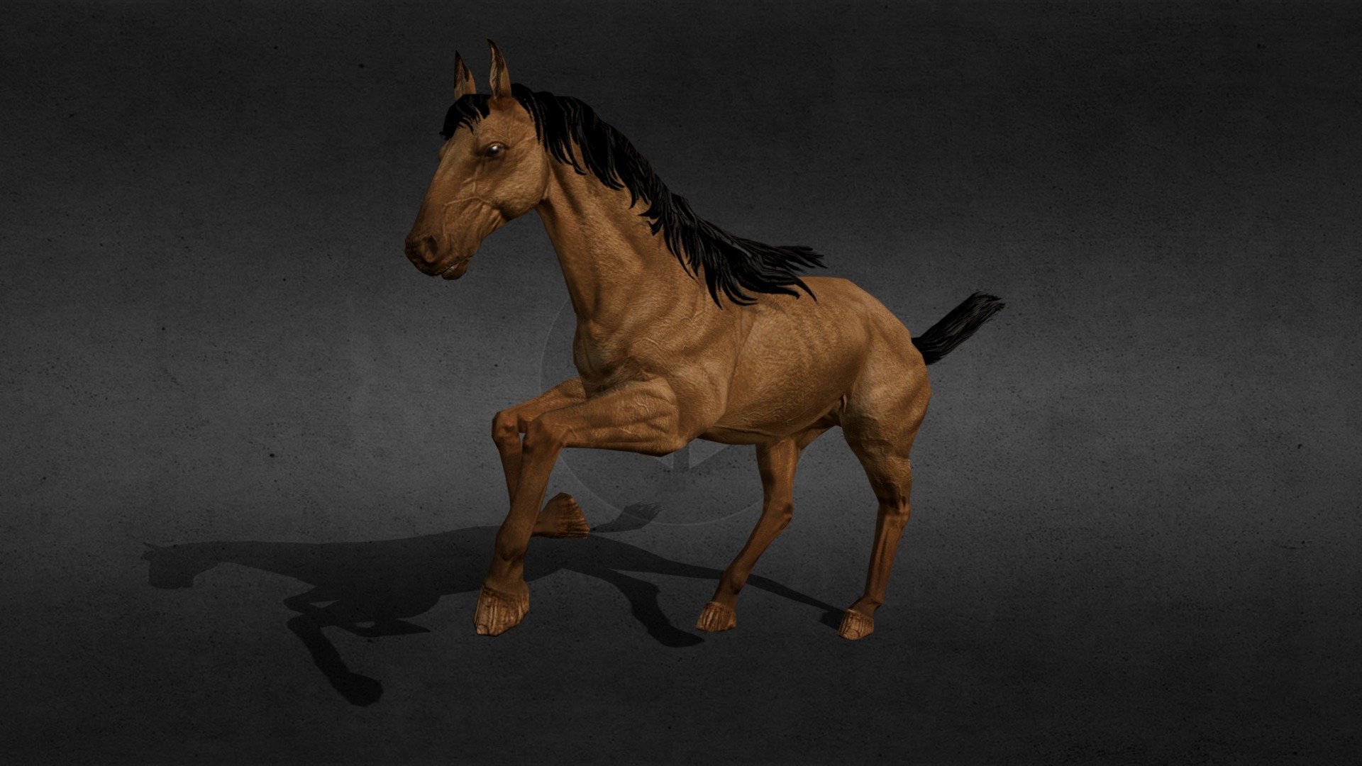 Horse Animation Run | Fab