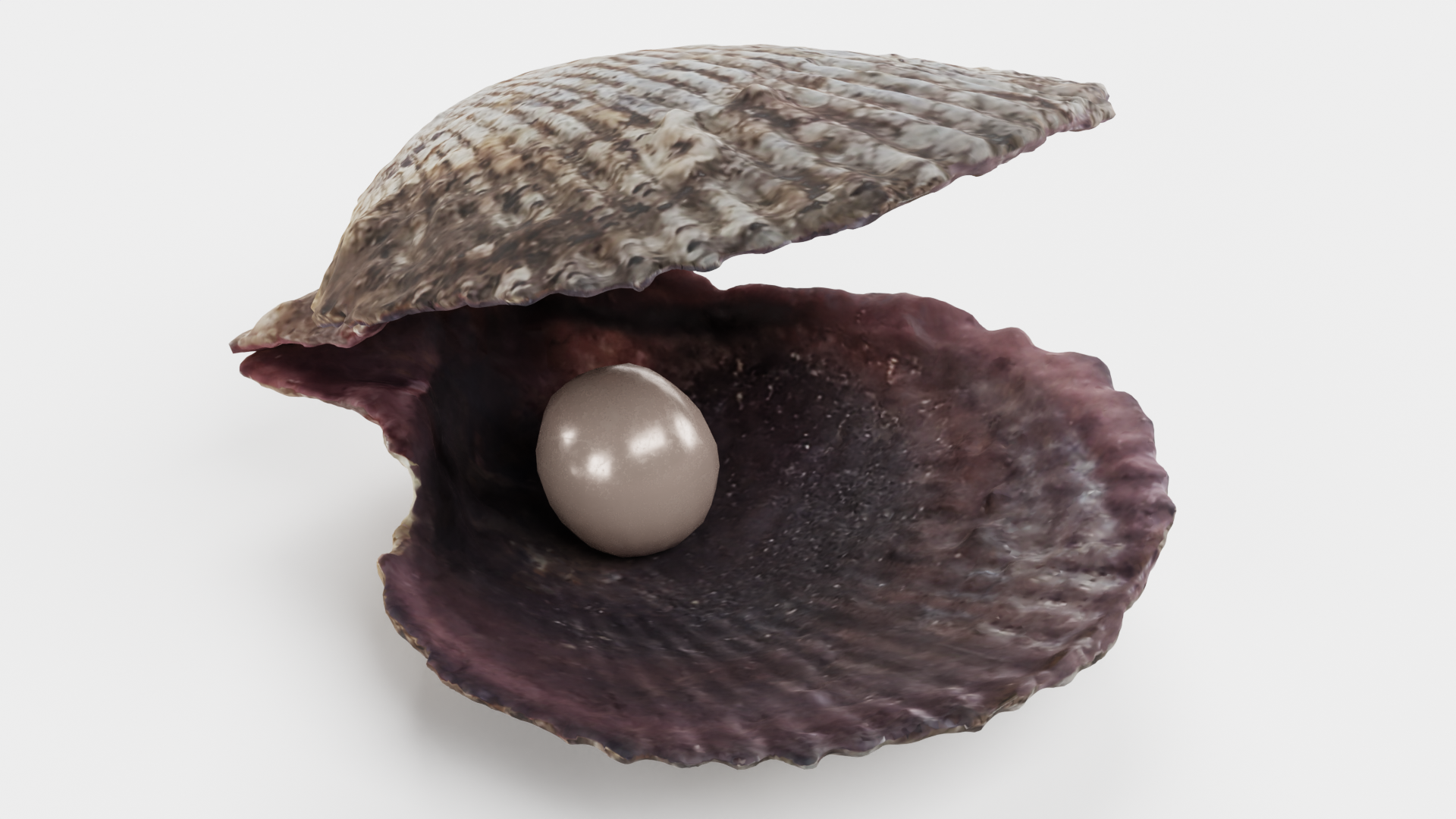 Pearl in Shell V2 - Clam with Gemstone | Fab