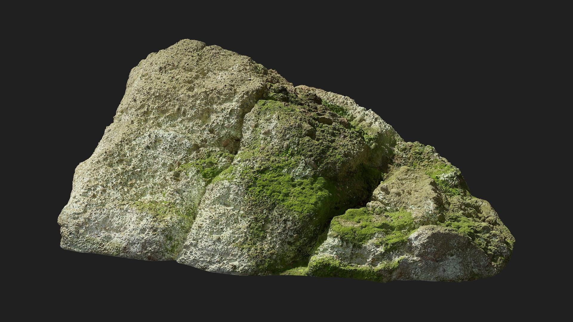 Forest European Broadleaf Ledge Rock M 02 | Fab