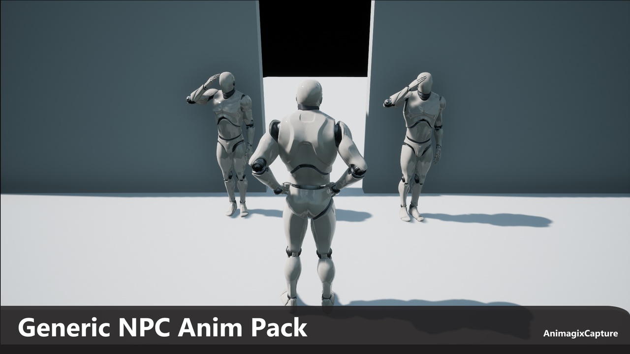 Generic NPC Anim Pack