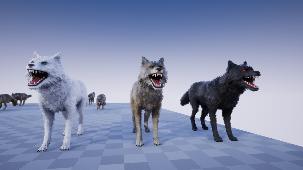 ANIMAL VARIETY PACK