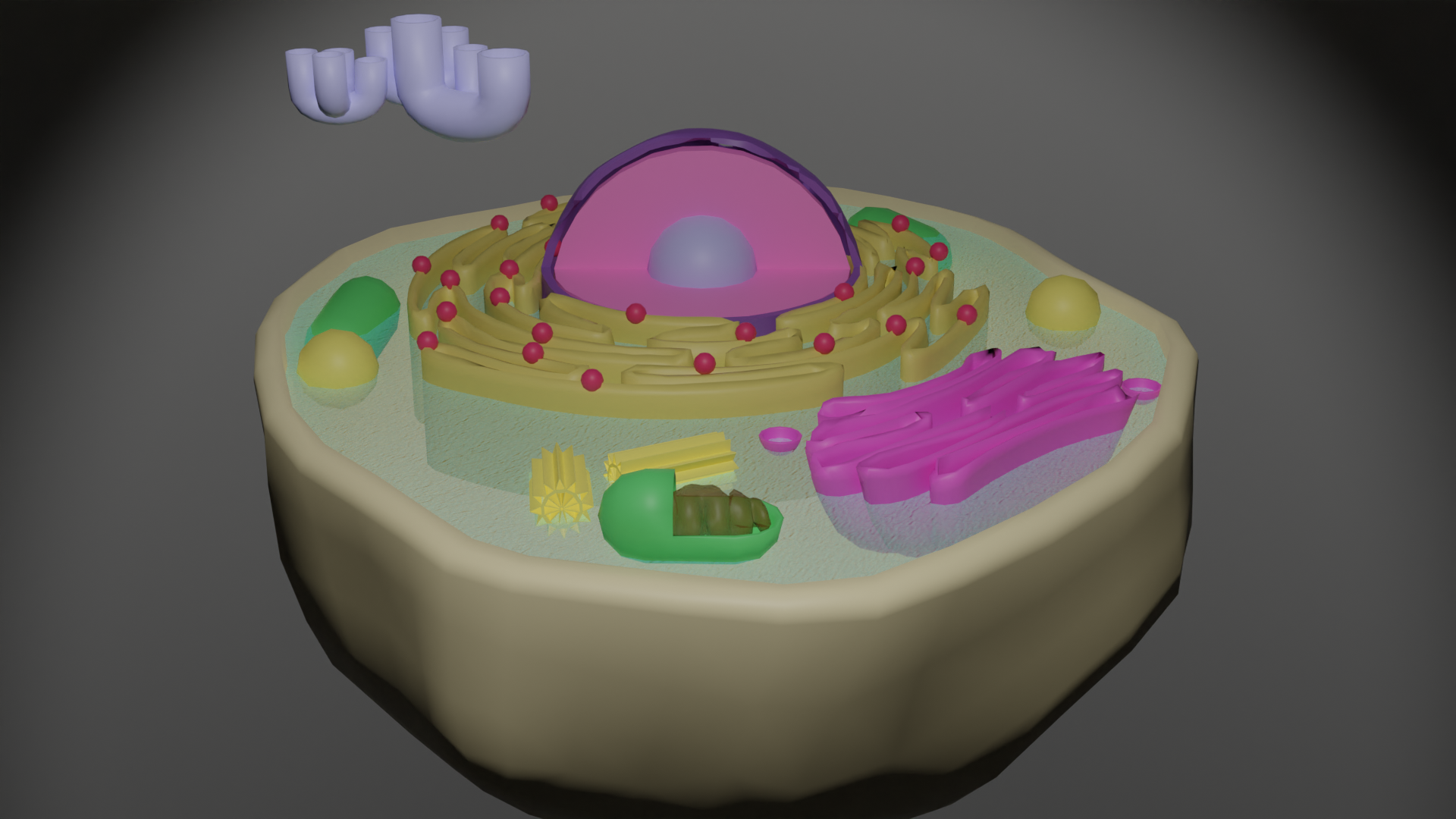 3D Animal Cell model | Fab