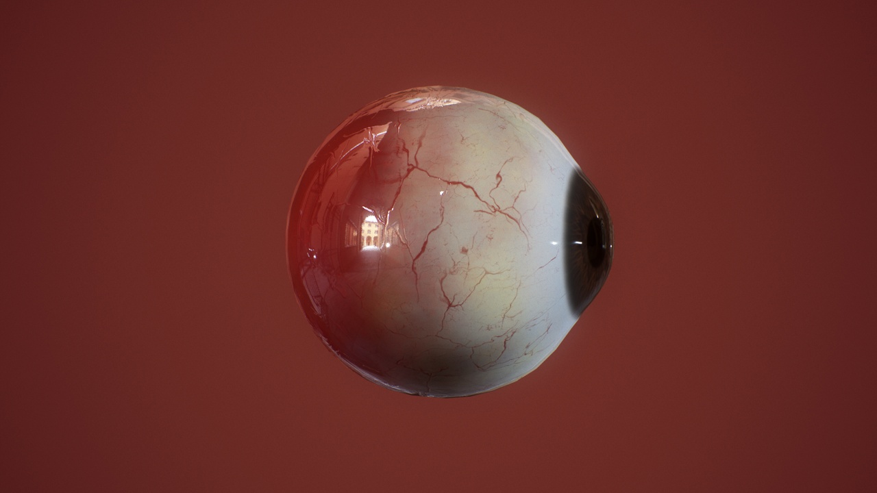 16 Colors of Realistic Eye | Fab