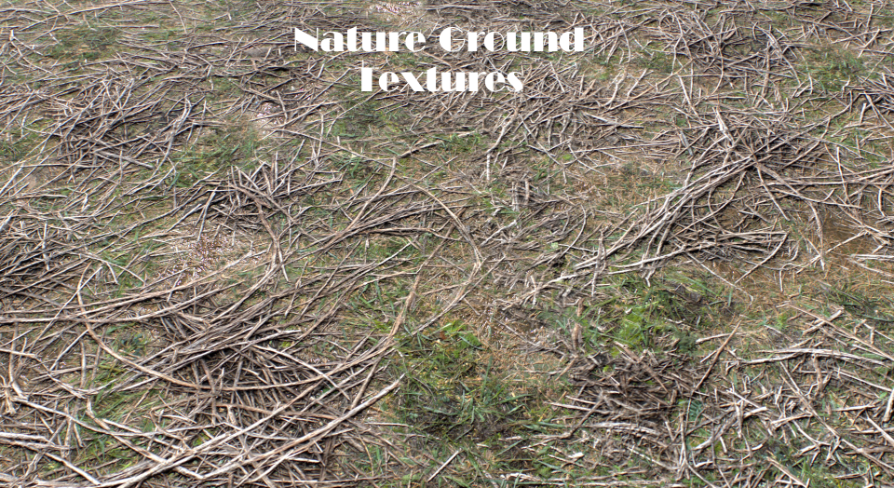 Nature Ground Textures | Fab