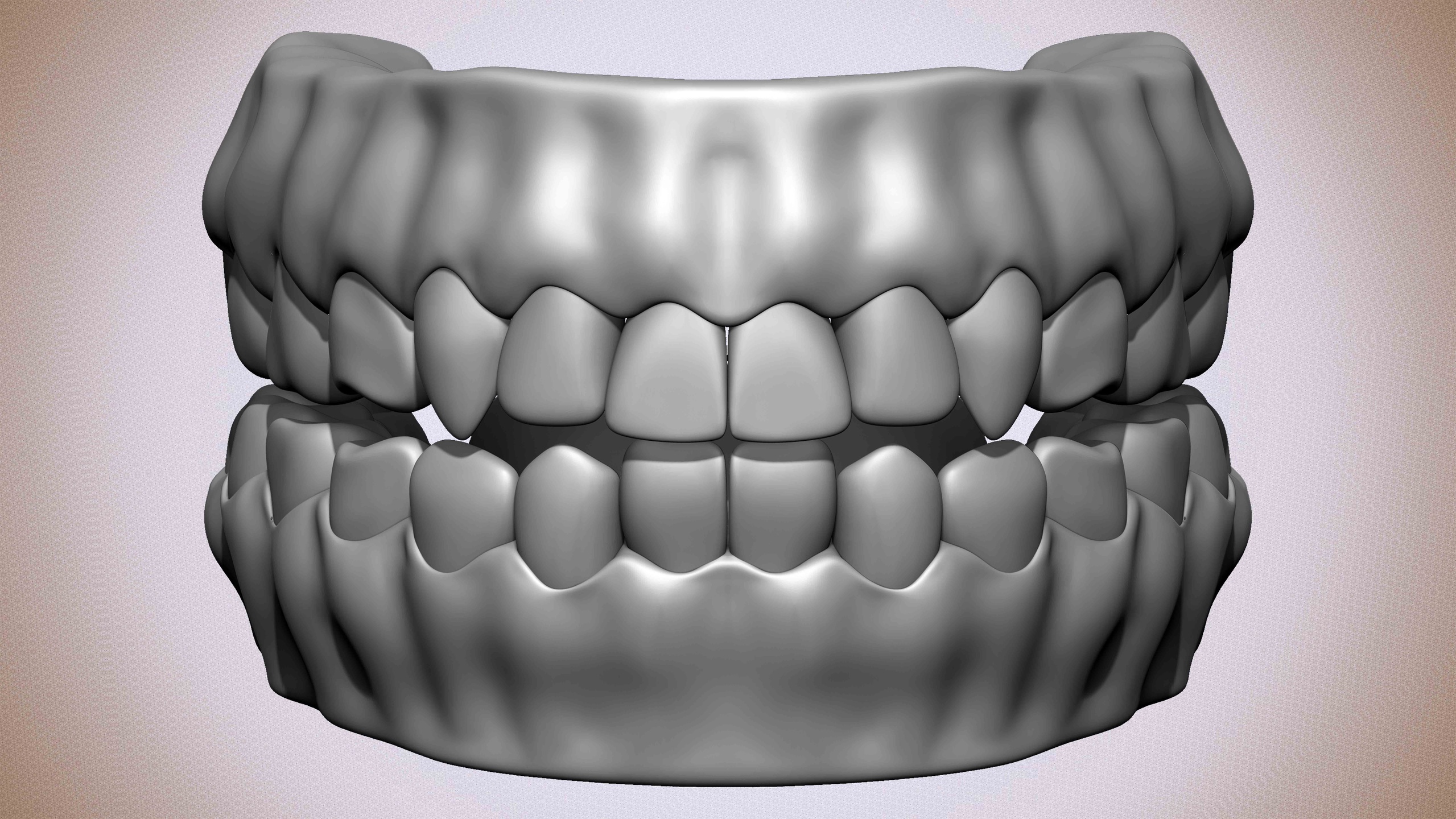 Highly Detailed Human Teeth | Fab