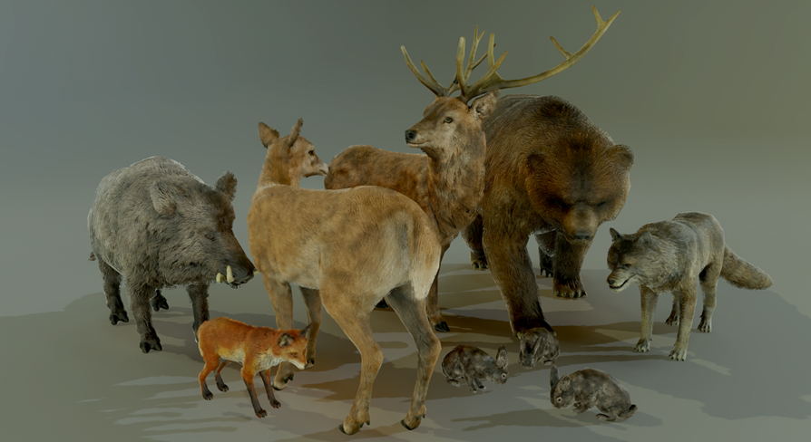 FOREST ANIMALS PACK