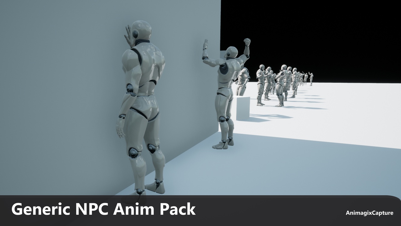 Generic NPC Anim Pack