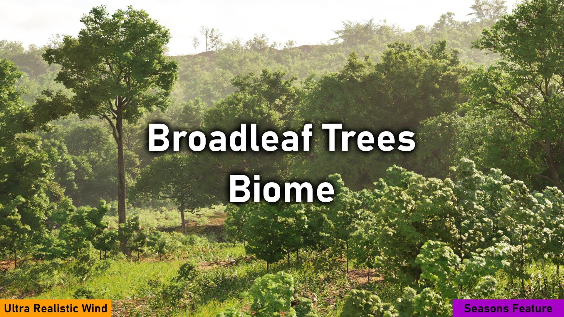 Broadleaf Trees Biome (Ultra Realistic Wind) | Fab