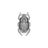 Runic Mechanical Scarab | Fab