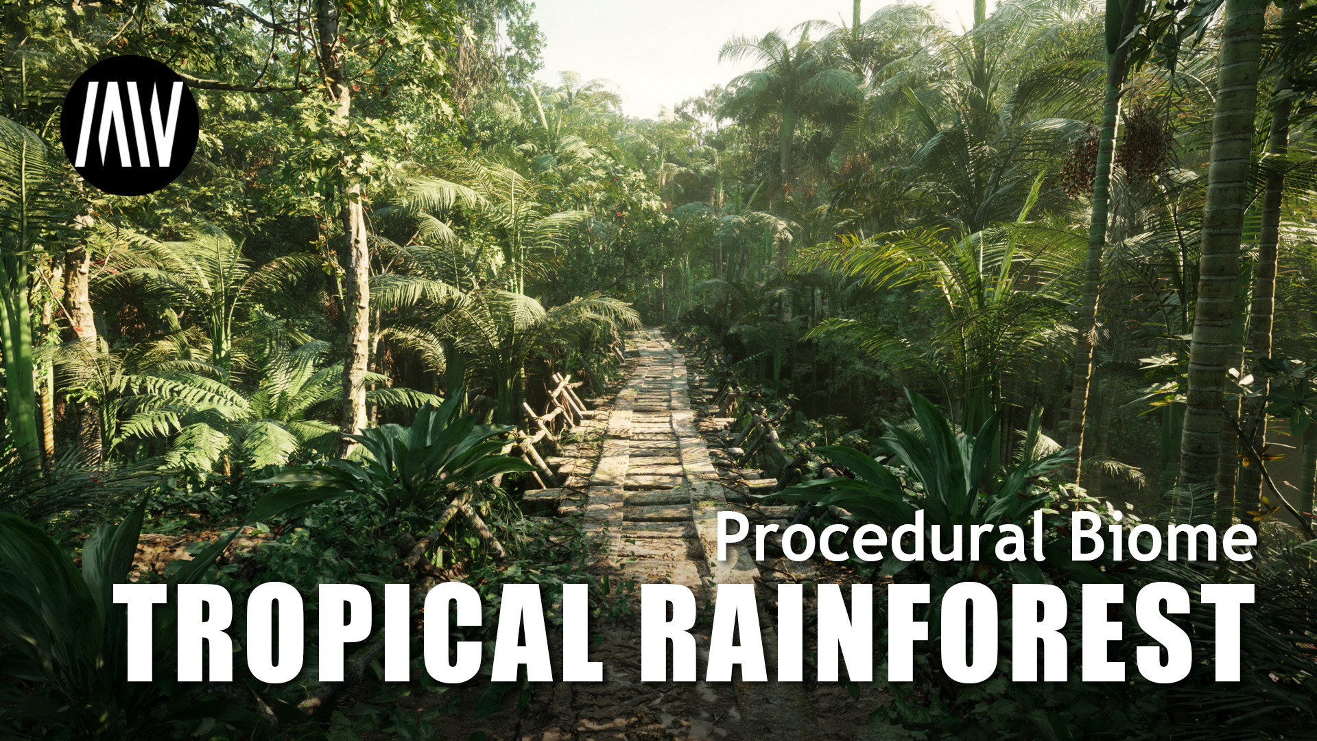 MW Tropical Rainforest Trees Biome