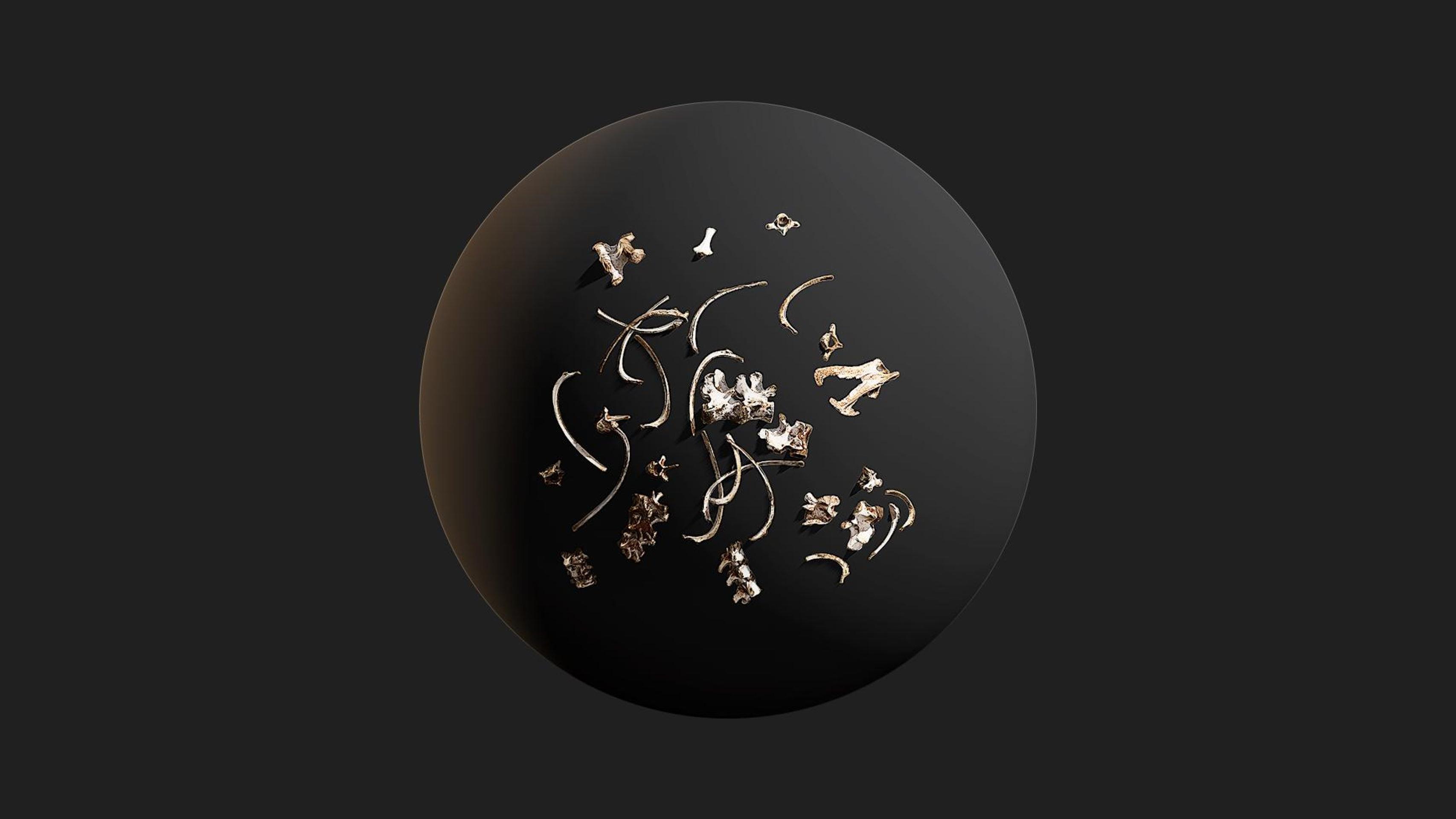 Scattered Bones | Fab