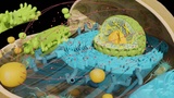 Animal Cell Structure 3D Model Educational Biology & Medical ...