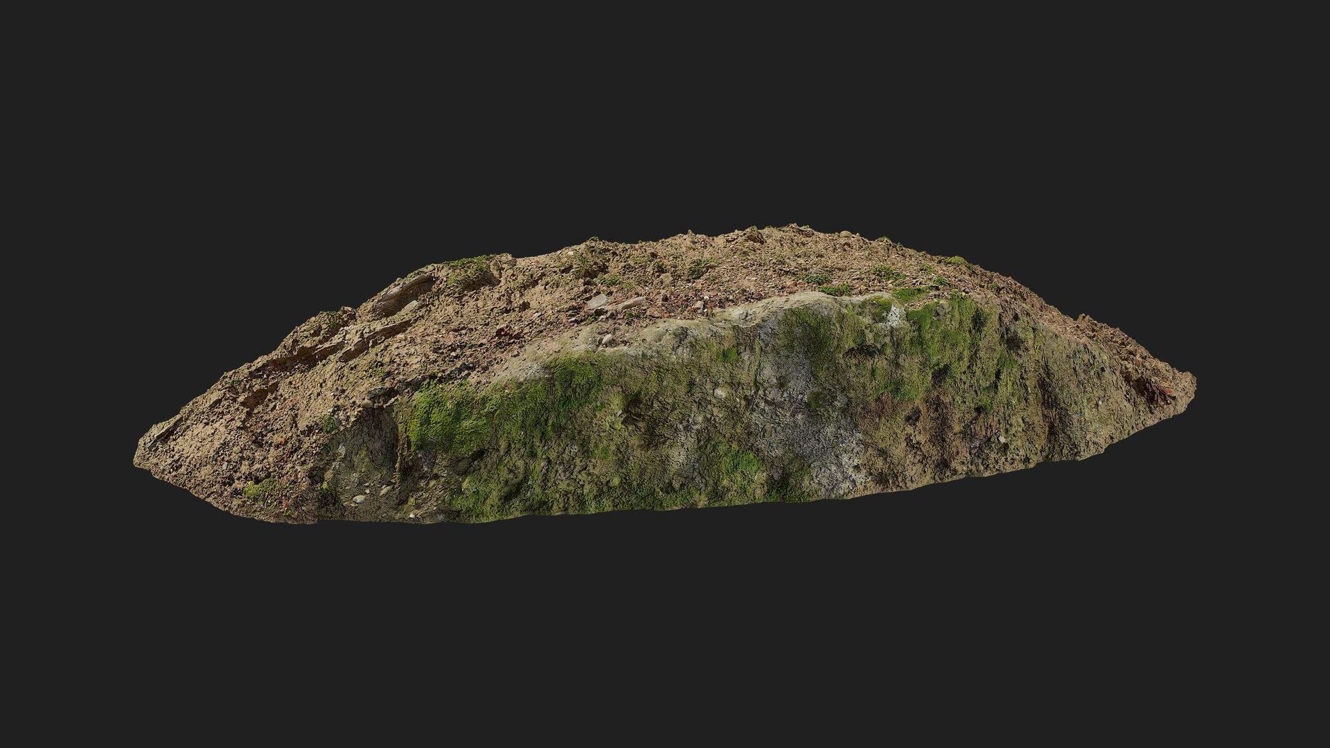 Forest European Broadleaf Ledge Rock S 05 | Fab