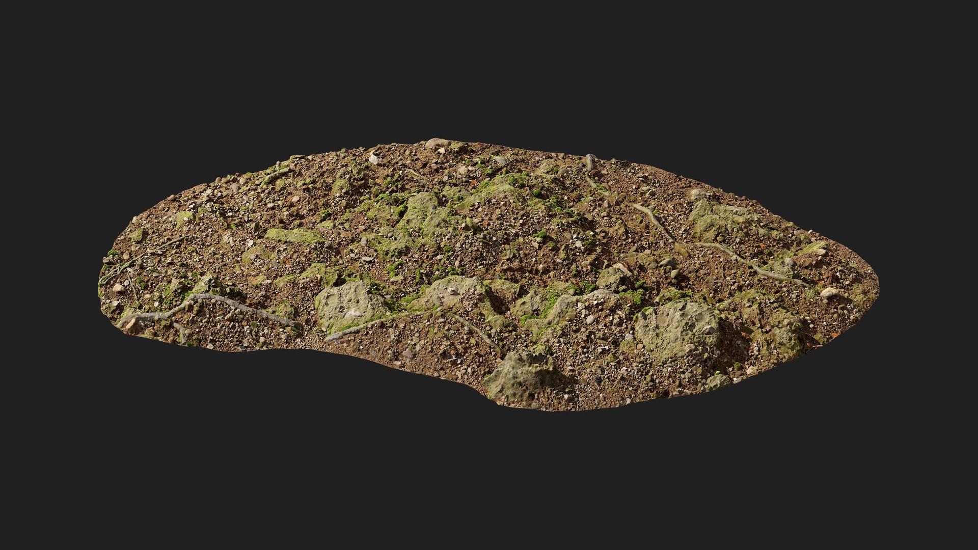 Forest European Broadleaf Ground Rock M 01 | Fab