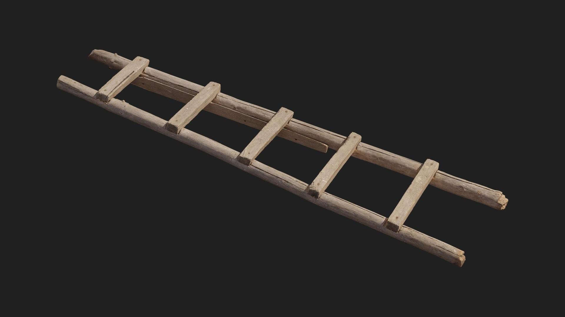 Wooden Ladder | Fab