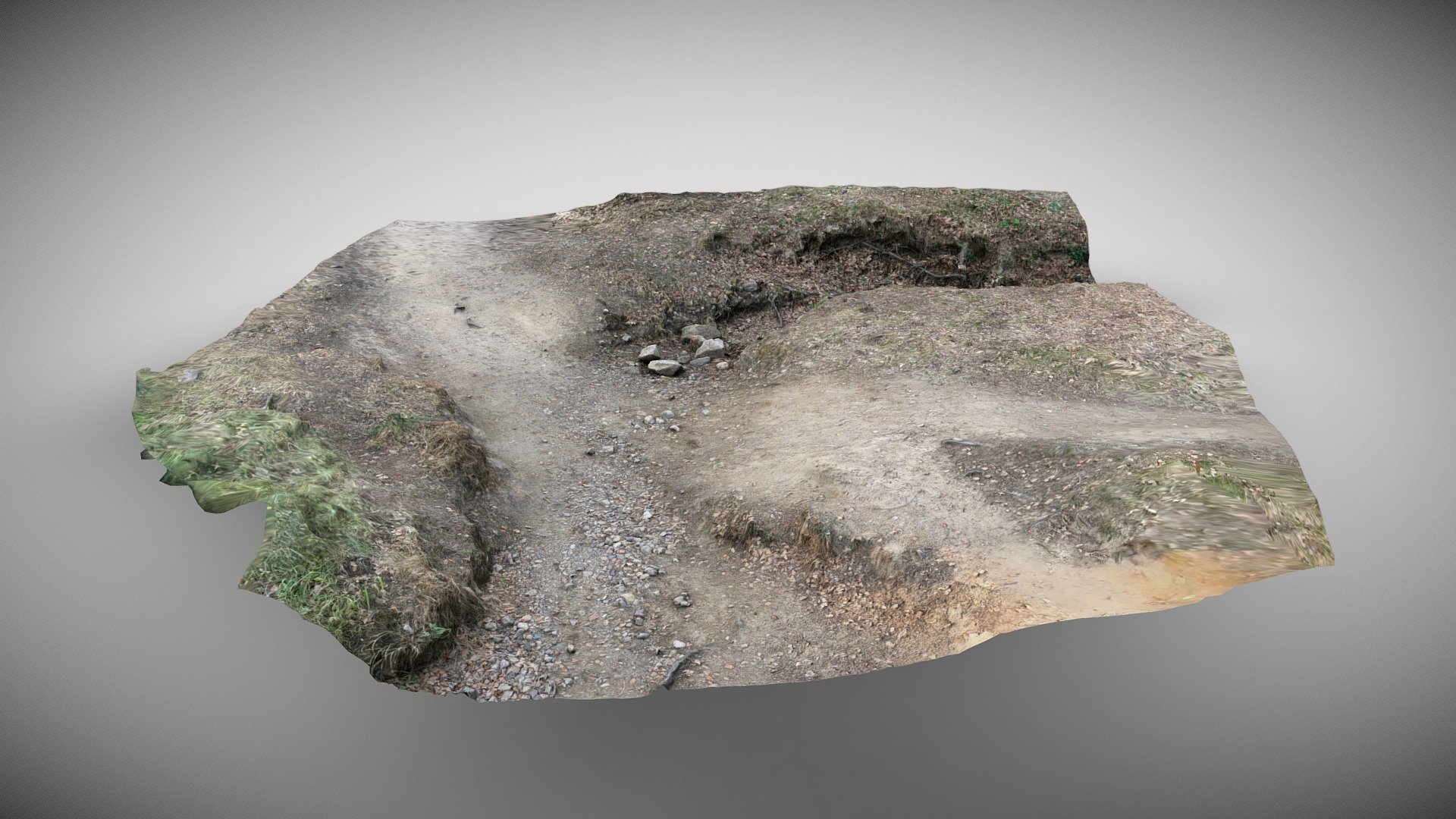 Paths crossing in the forest - Le Racou | Fab