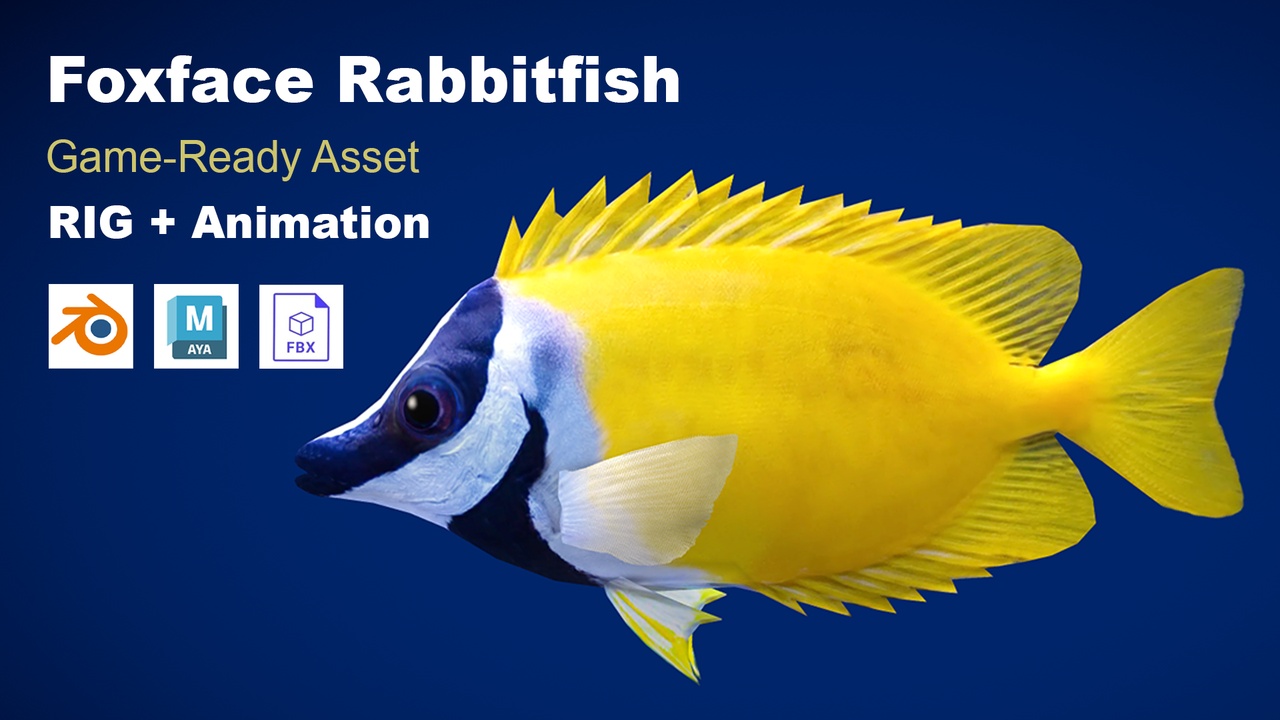 Realistic Foxface Rabbitfish Animated | Fab