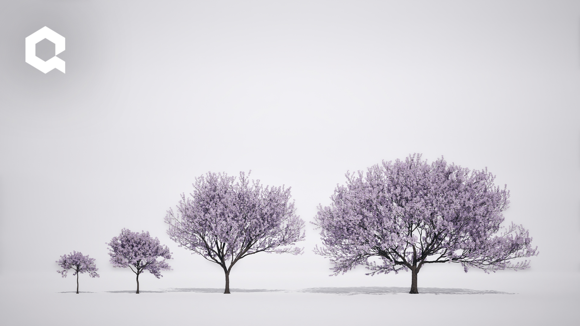 Megaplants: Yoshino Cherry | Fab
