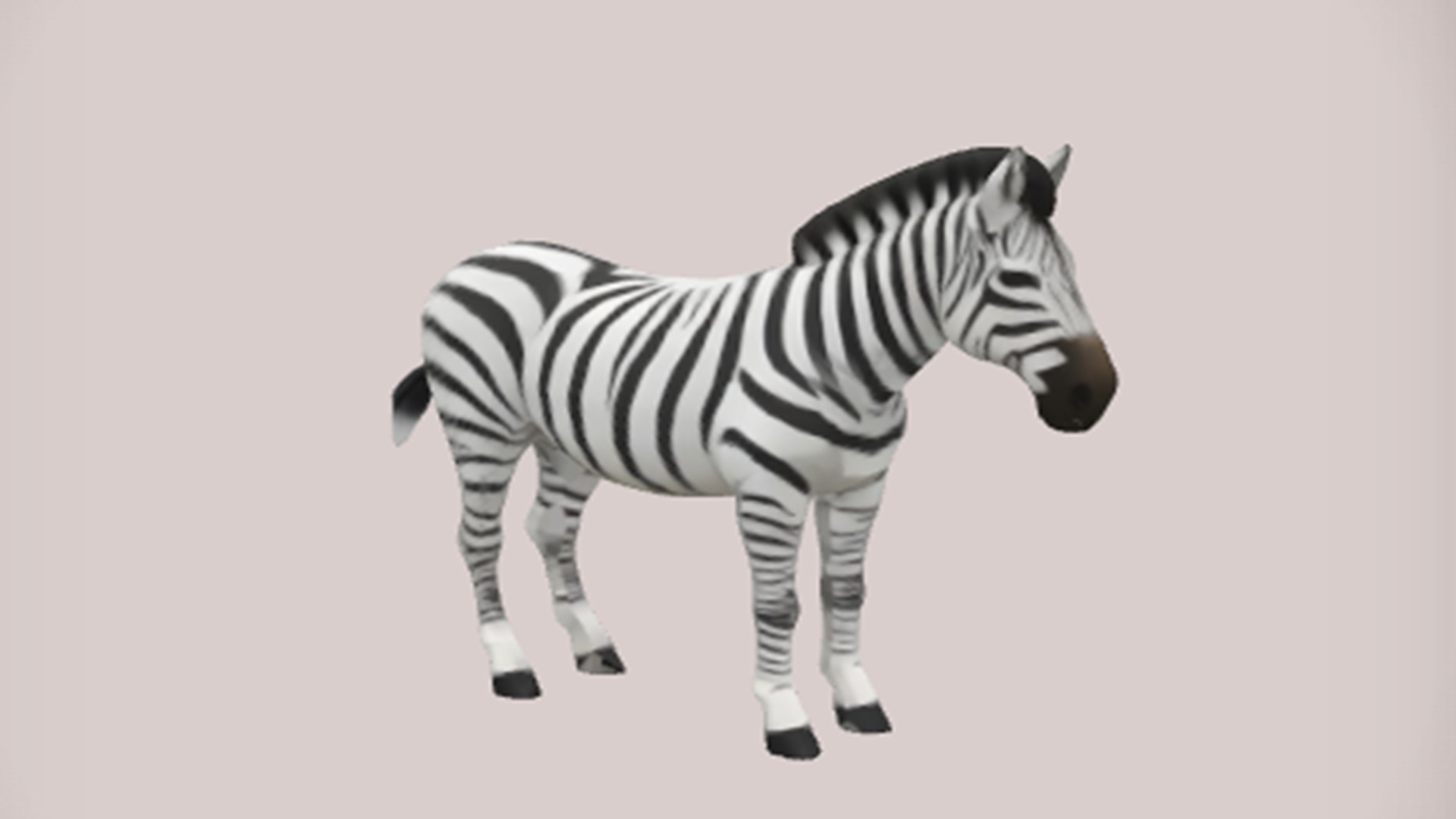 Standing zebra with stripes | Fab