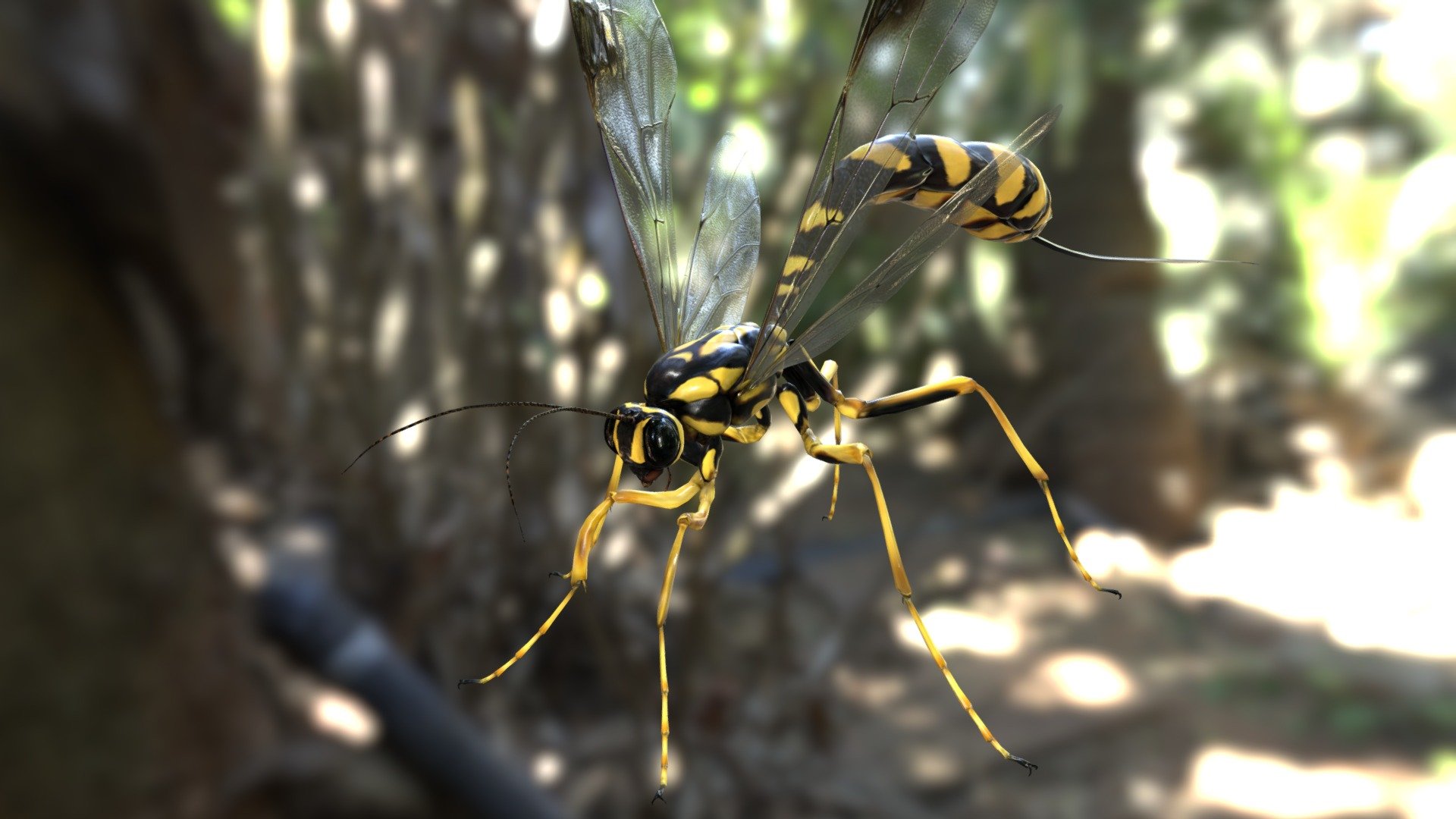 Megarhyssa praecellens | Fab