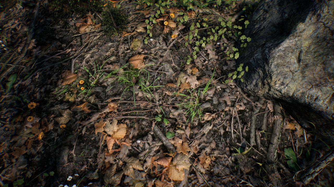 Brushify - Forest Pack