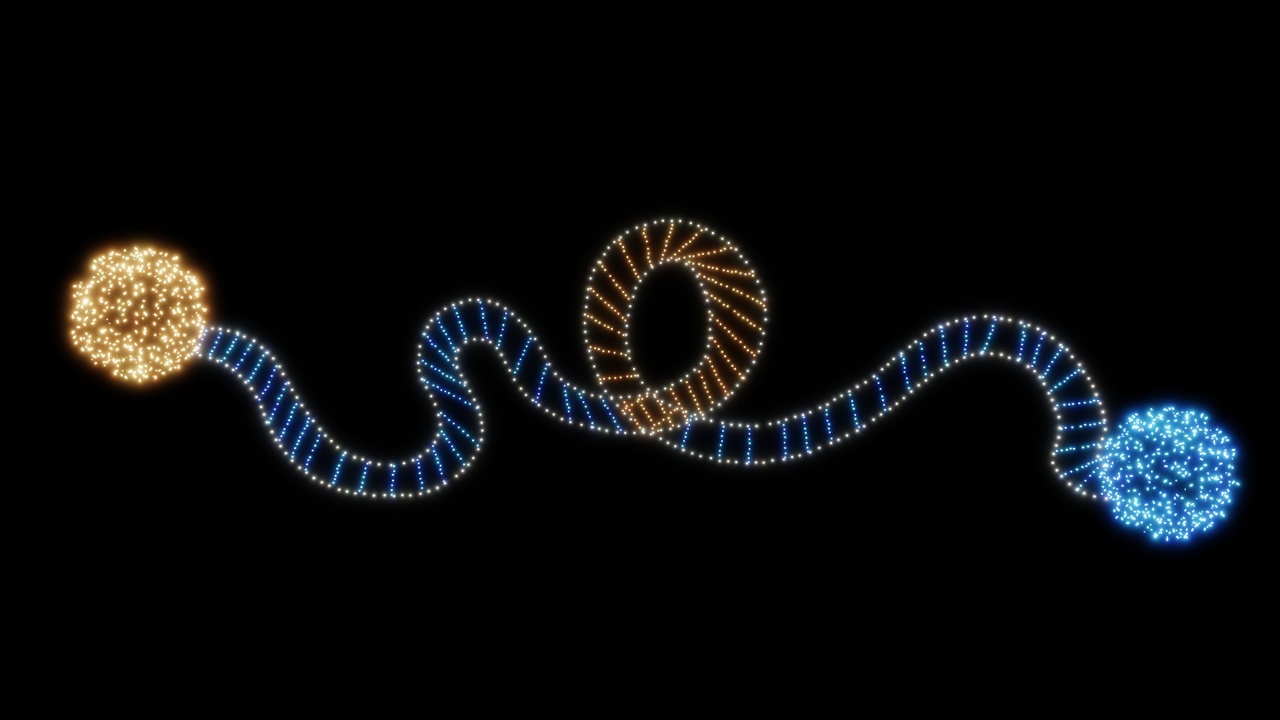 Christmas Lights | Fab