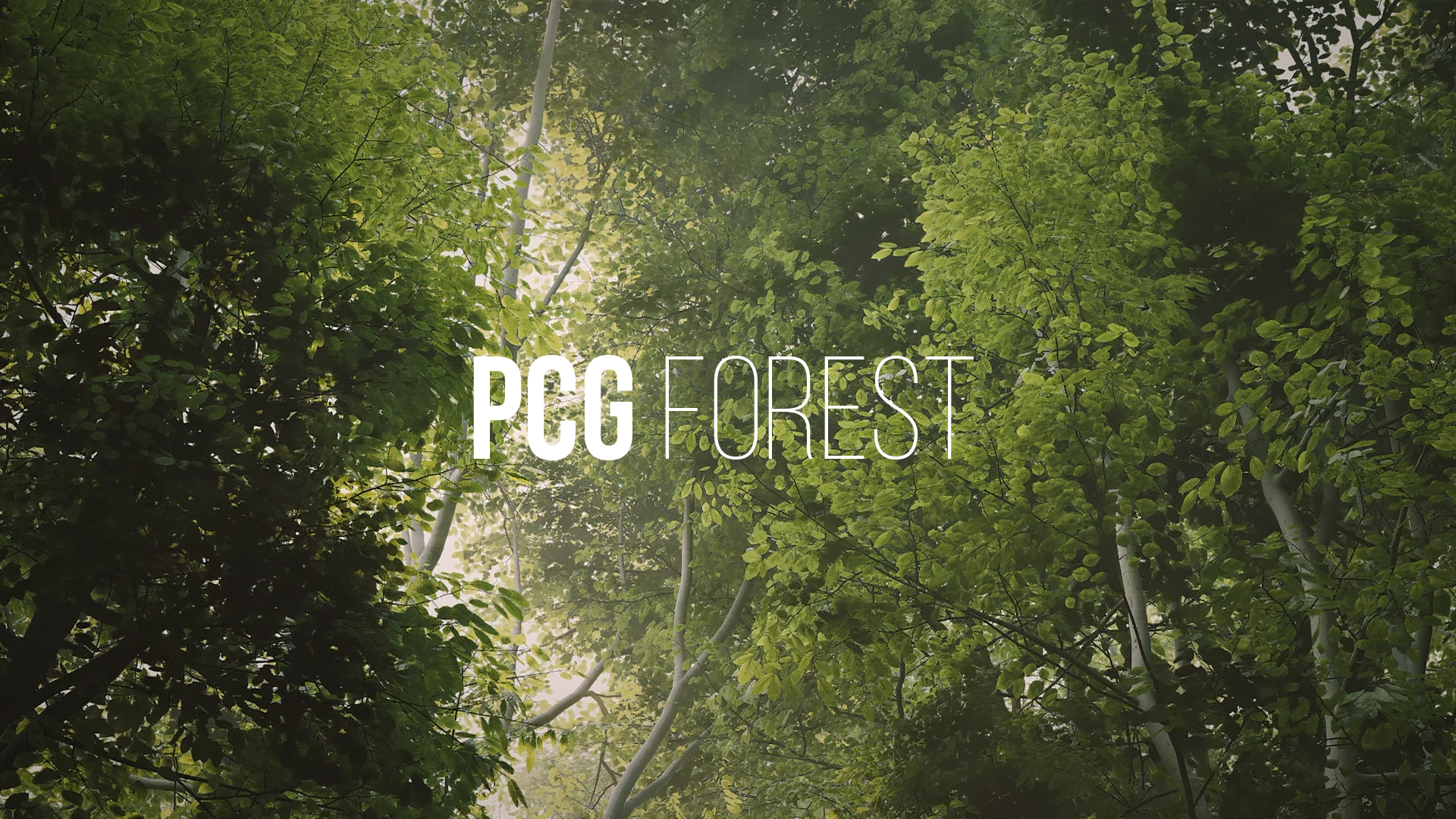 PCG Forest Generator | Fab