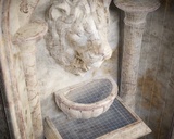Medieval Lion Fountain Niche | Fab