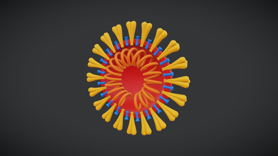 Coronavirus v3 Cross Section | Fab