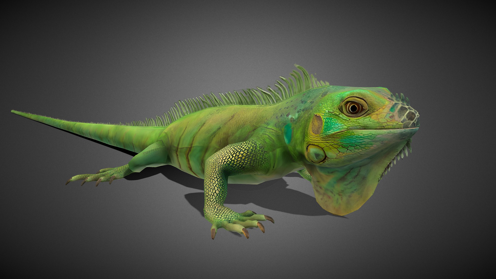 Realistic Iguana 3D Model | Fab