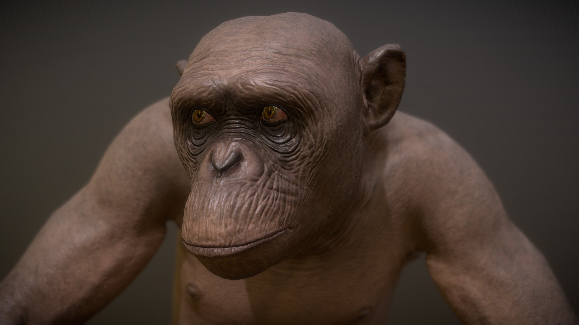 Animated Realistic Hairless Chimpanzee | Fab
