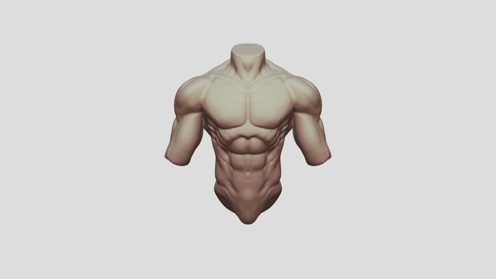 Male Torso Stylized | Fab